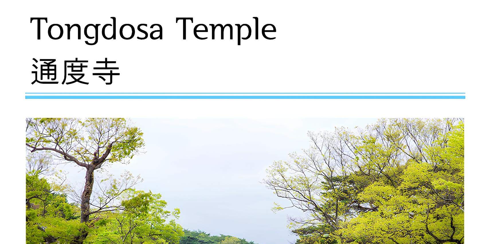 [BTO限定] 釜山発 蔚山＆梁山 1日ツアー | Klook